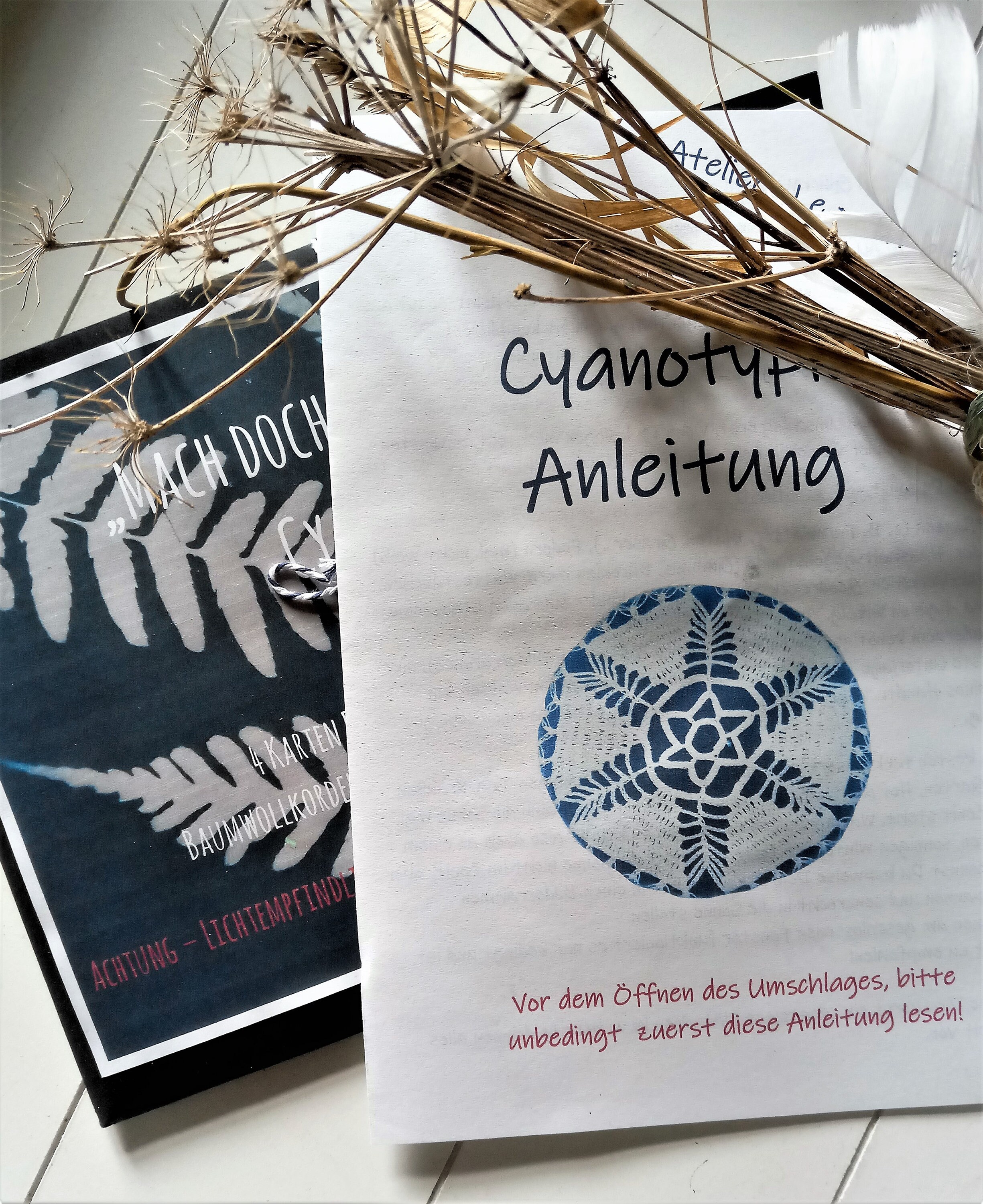 DIY Set Cyanotype Solar Paper Photosensitive Paper Magic - Etsy