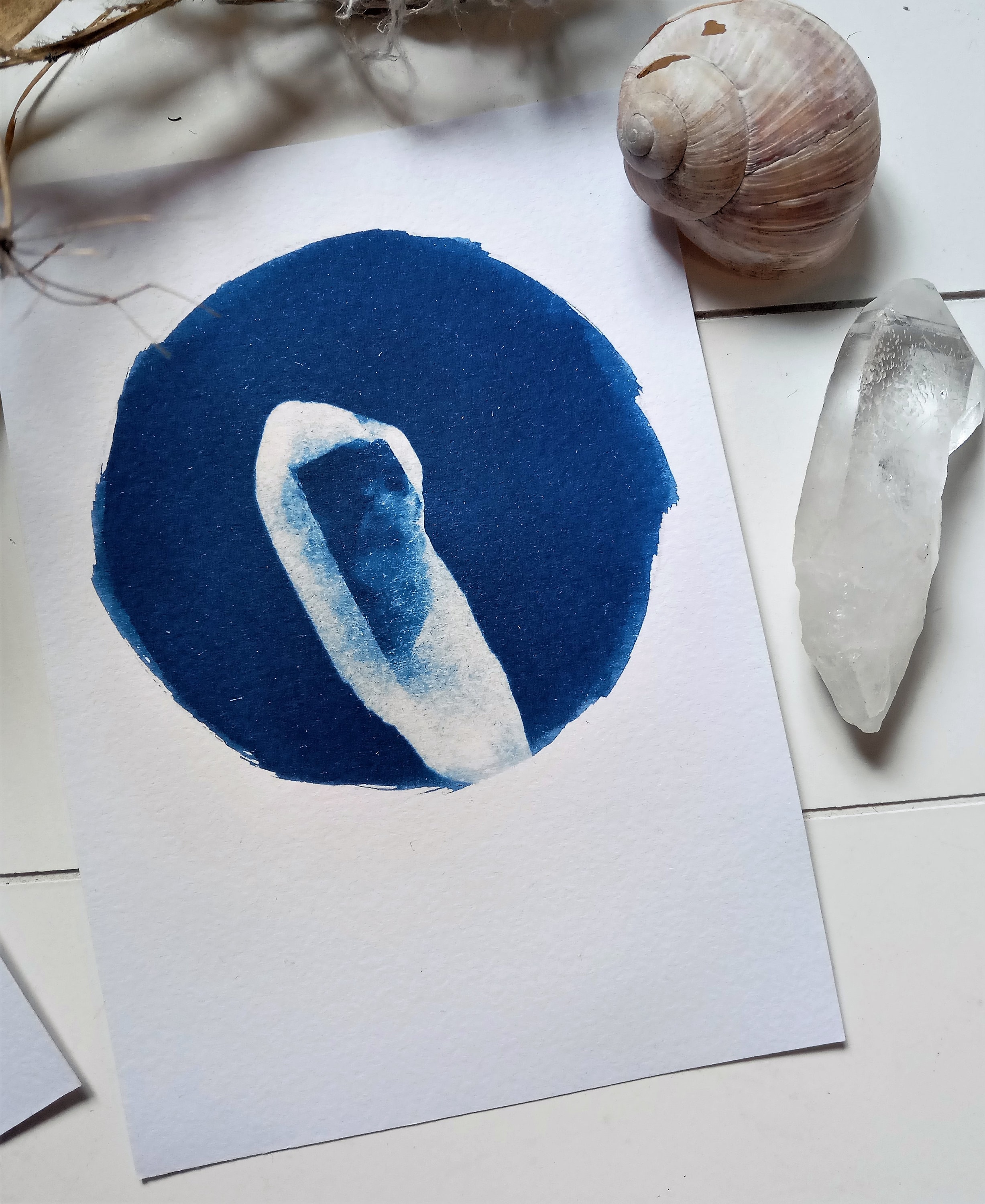 DIY Set Cyanotype Solar Paper Photosensitive Paper Magic - Etsy