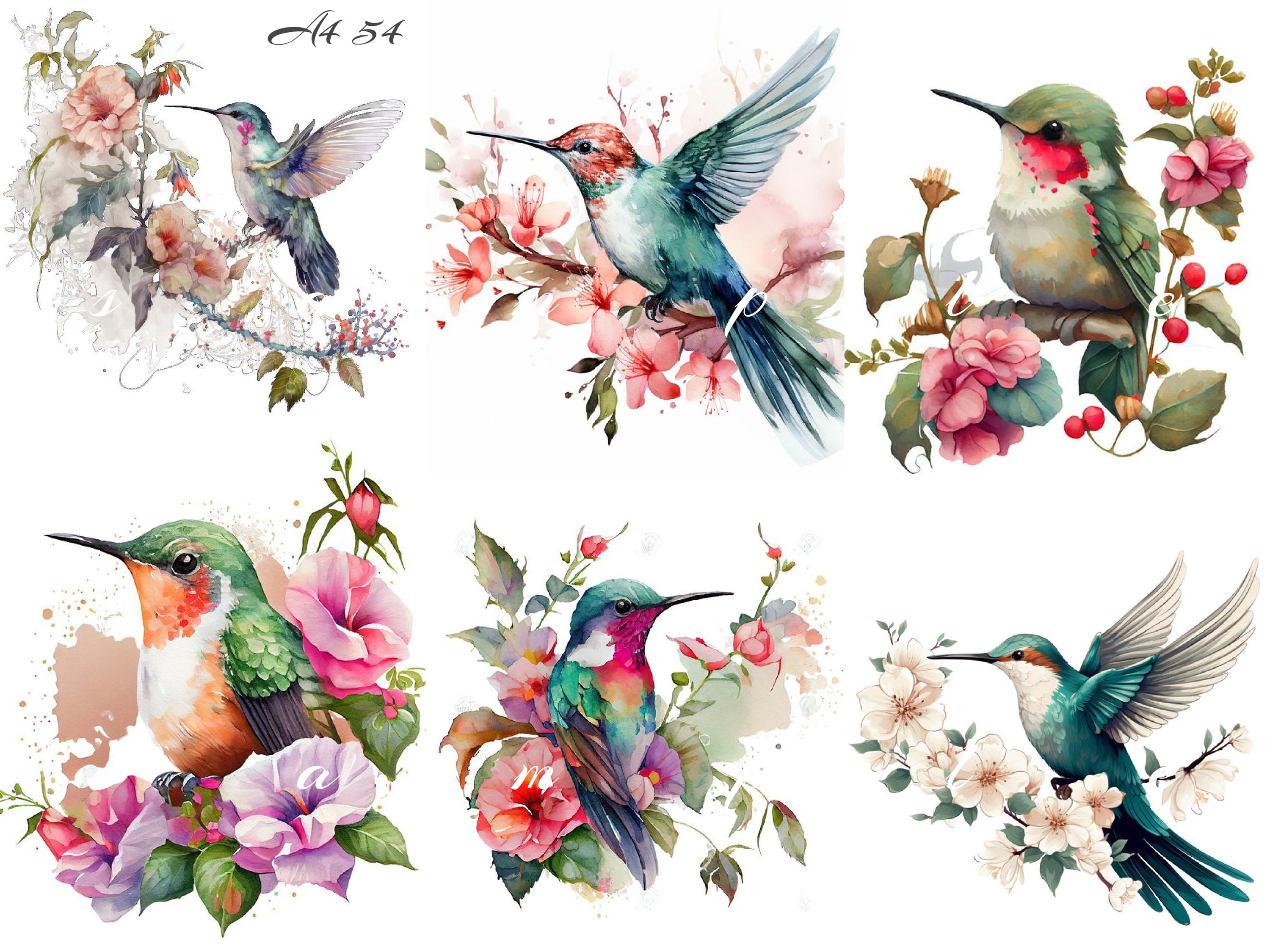 Decoupage Rice Paper, A4 54 Shabby Chic Vintage Watercolor Hummingbirds ...