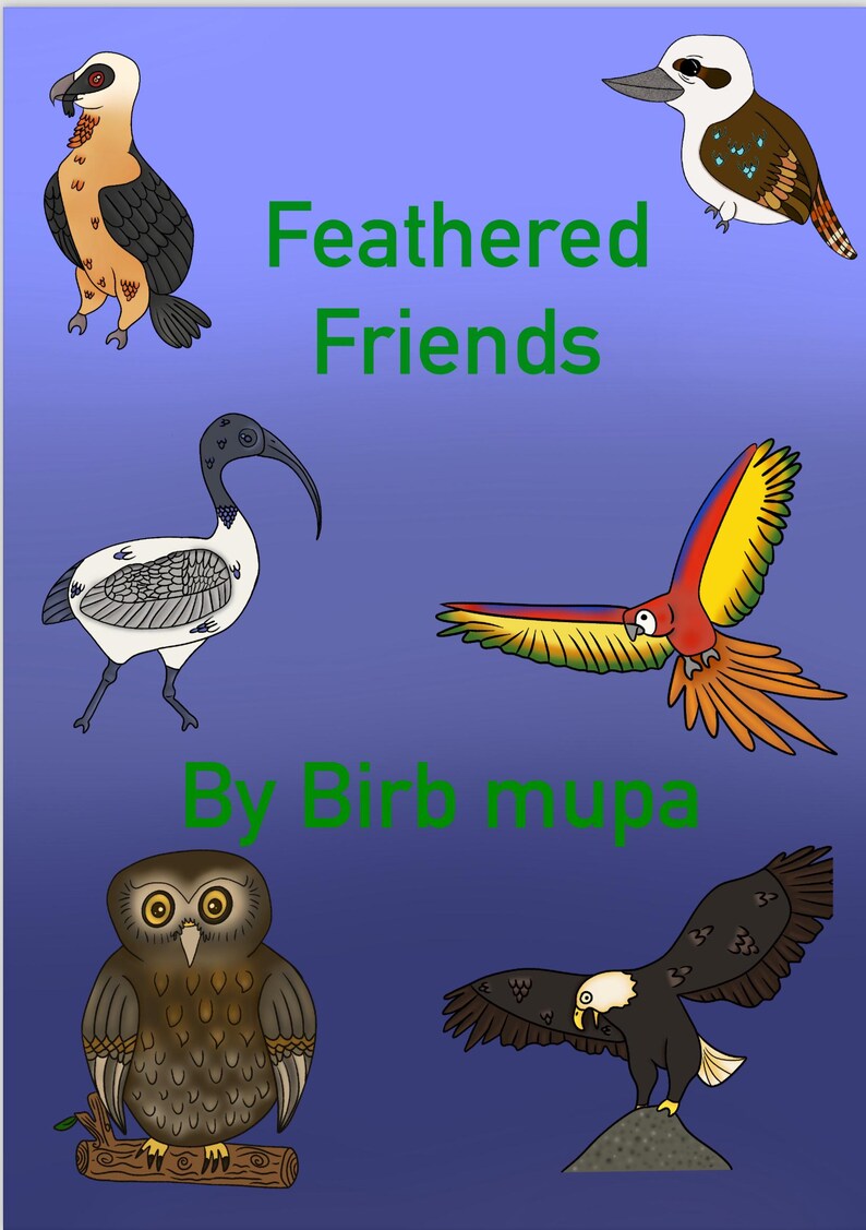 Digital Feathered Friends Colouring Book - Etsy