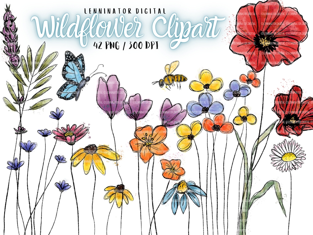 Wildflower Clipart Set - Hand Drawn PNG Watercolor Spring Flowers ...