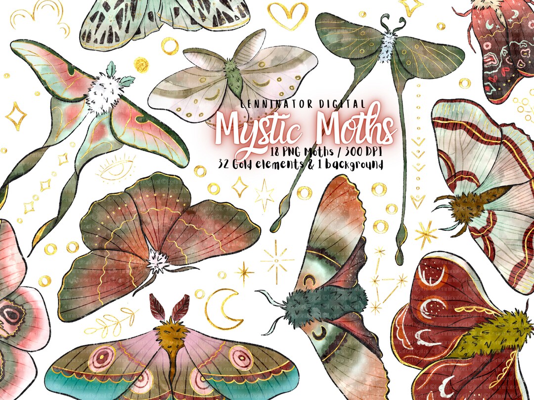 Mystic Moths Clipart - Hand Drawn PNG Watercolor Insect Stickers ...
