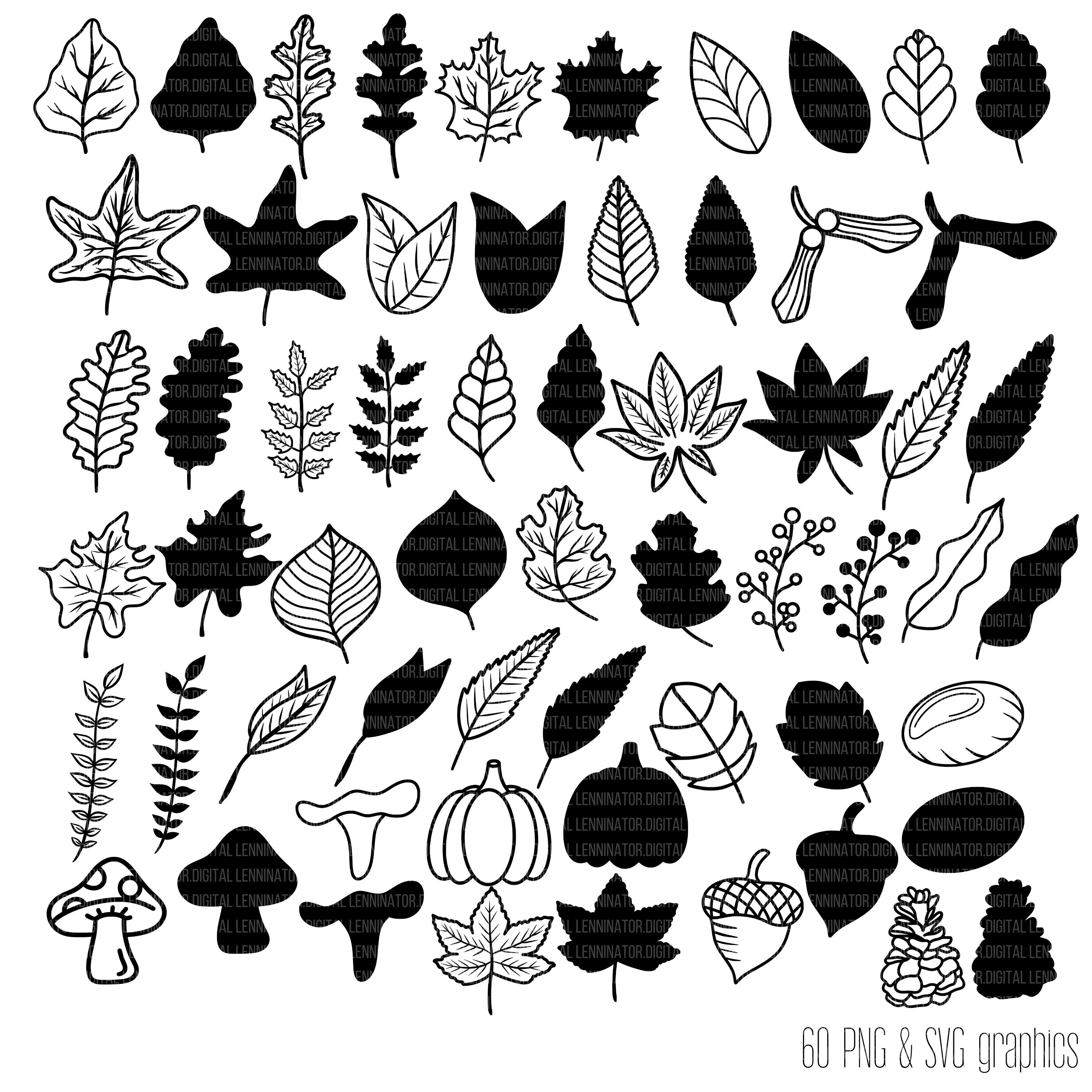 Fall Leaf Doodles SVG PNG Clipart, Simple Autumn Leaves Lineart ...