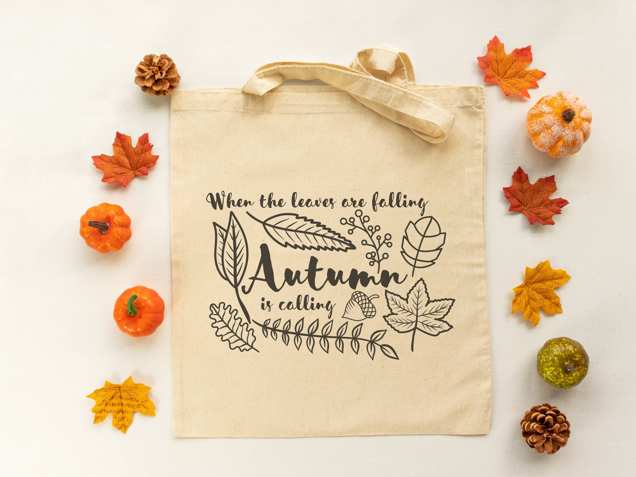 Fall Leaf Doodles SVG PNG Clipart, Simple Autumn Leaves Lineart ...