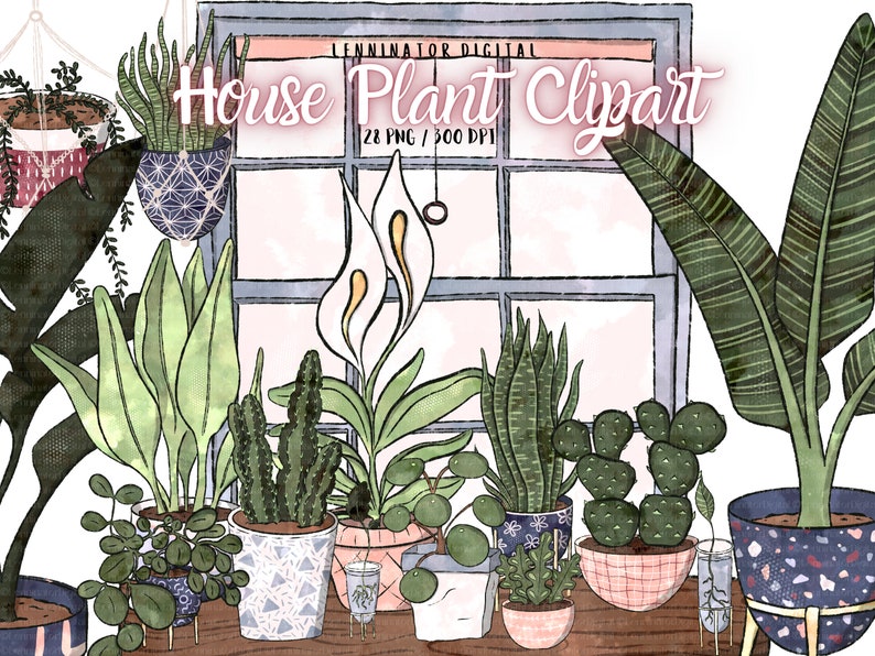 Watercolor House Plant Clipart: Hand-drawn Botanical PNG Stickers ...