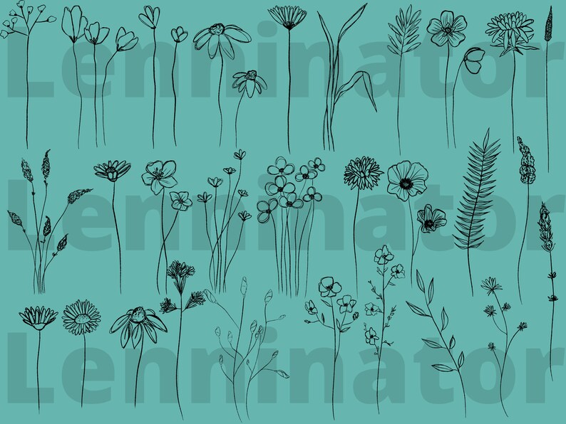 Doodle Wildflowers Clipart - SVG PNG Simple Sketch Fineliner Flower ...