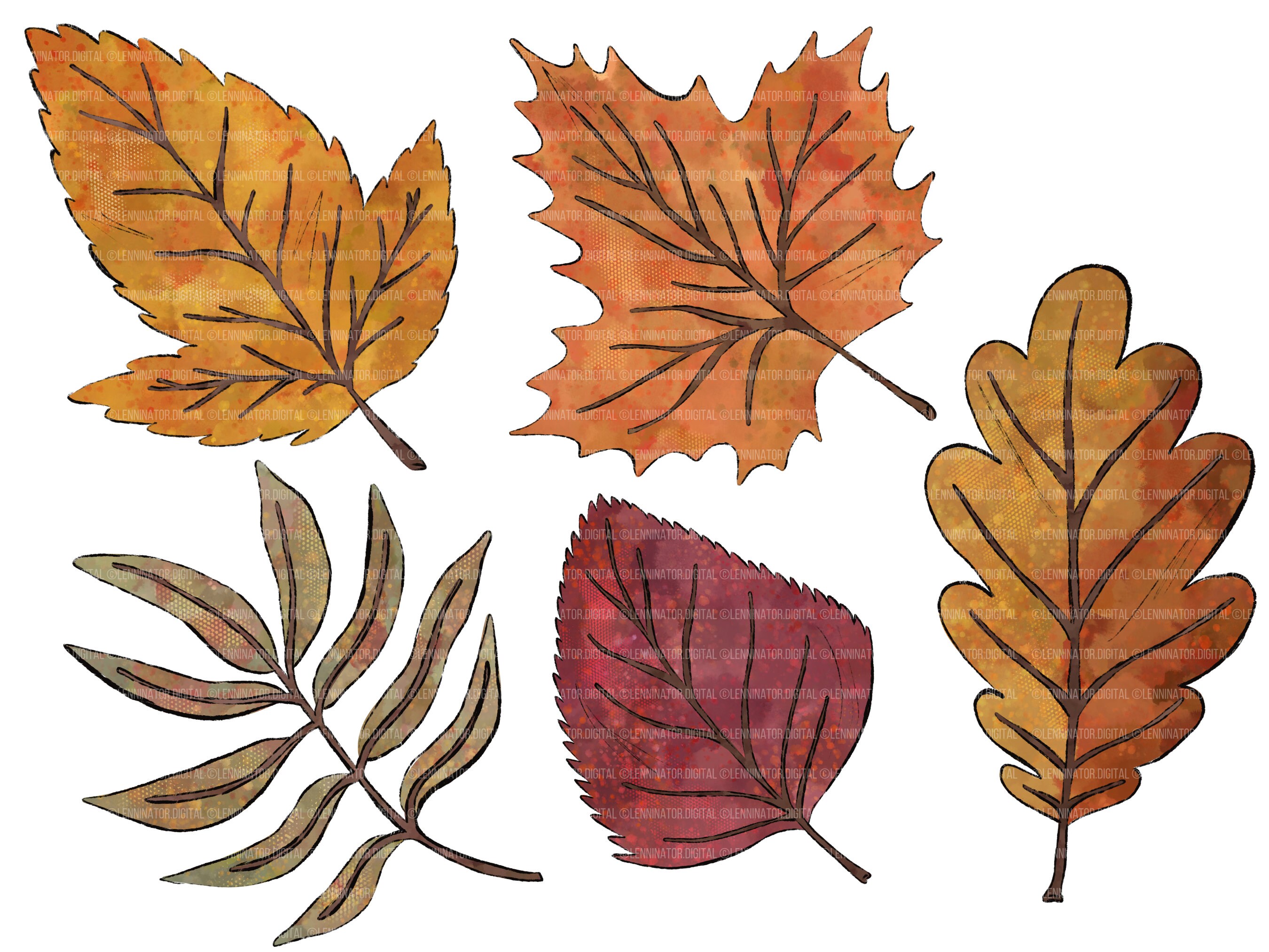 Fall Forest Watercolor PNG Clipart Set, Autumn Leaves and Mushrooms ...