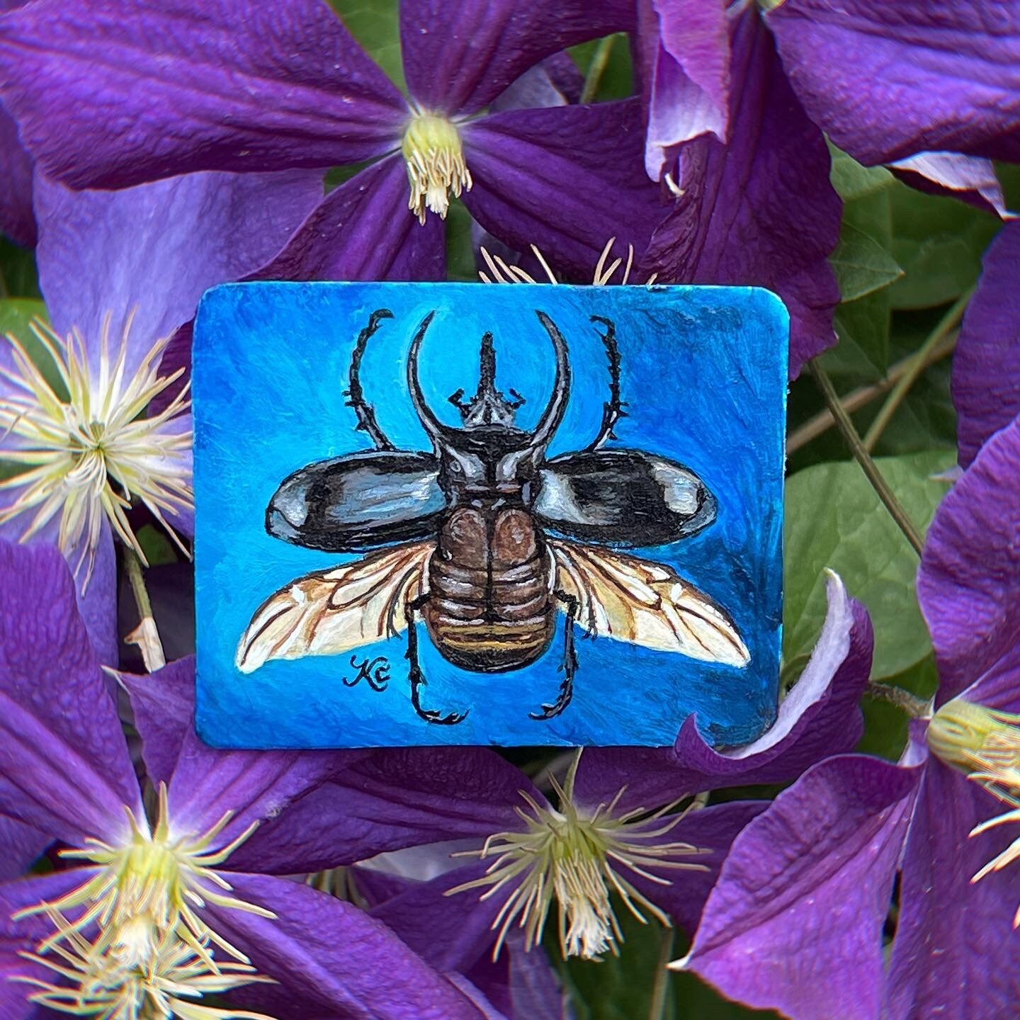 Scarab Beetle miniature painting — Kelsey Critchfield-De Ferrari