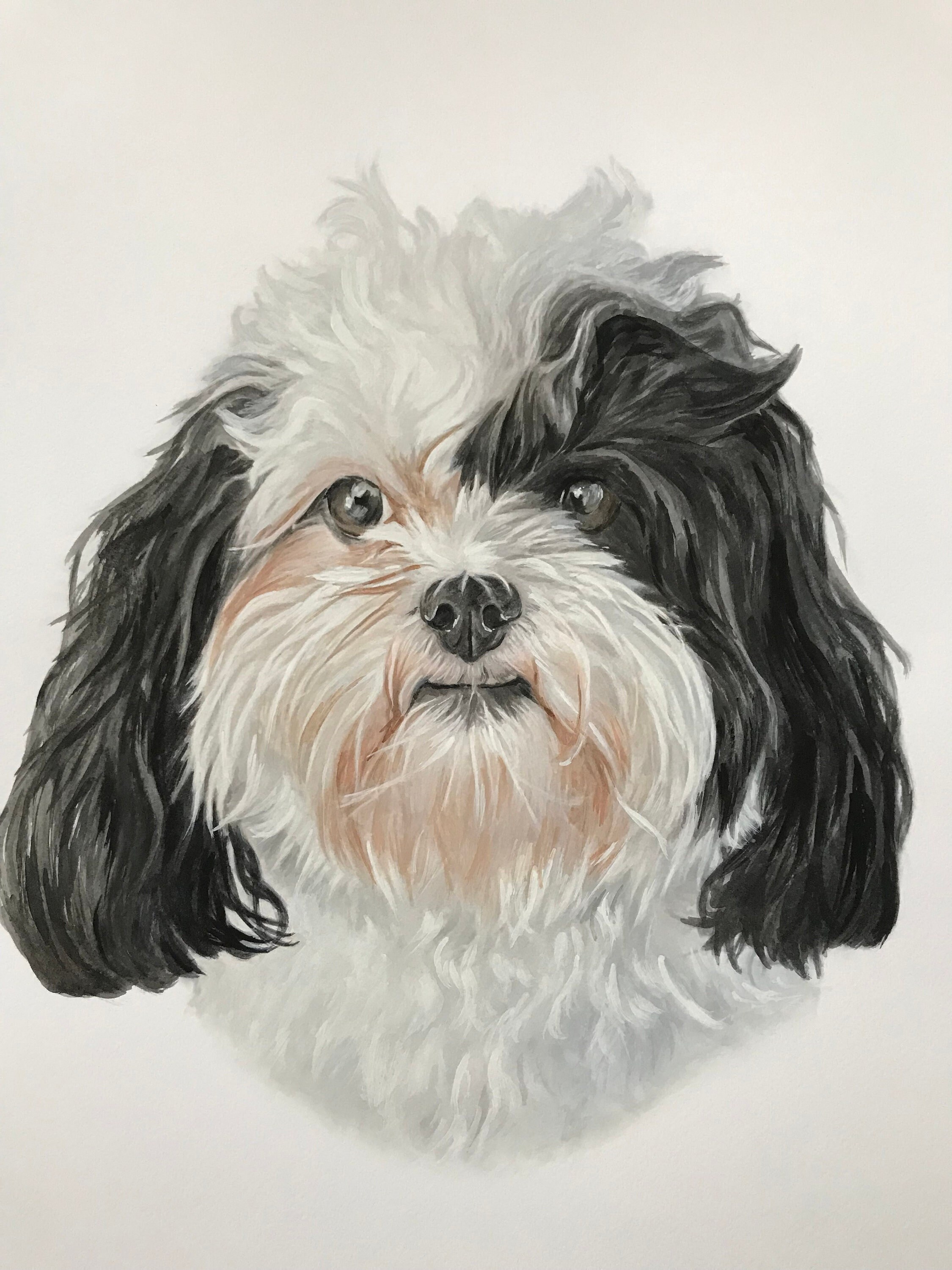 Custom-made Painting From Dog Photo, Unique Hand Drawn Water Color ...