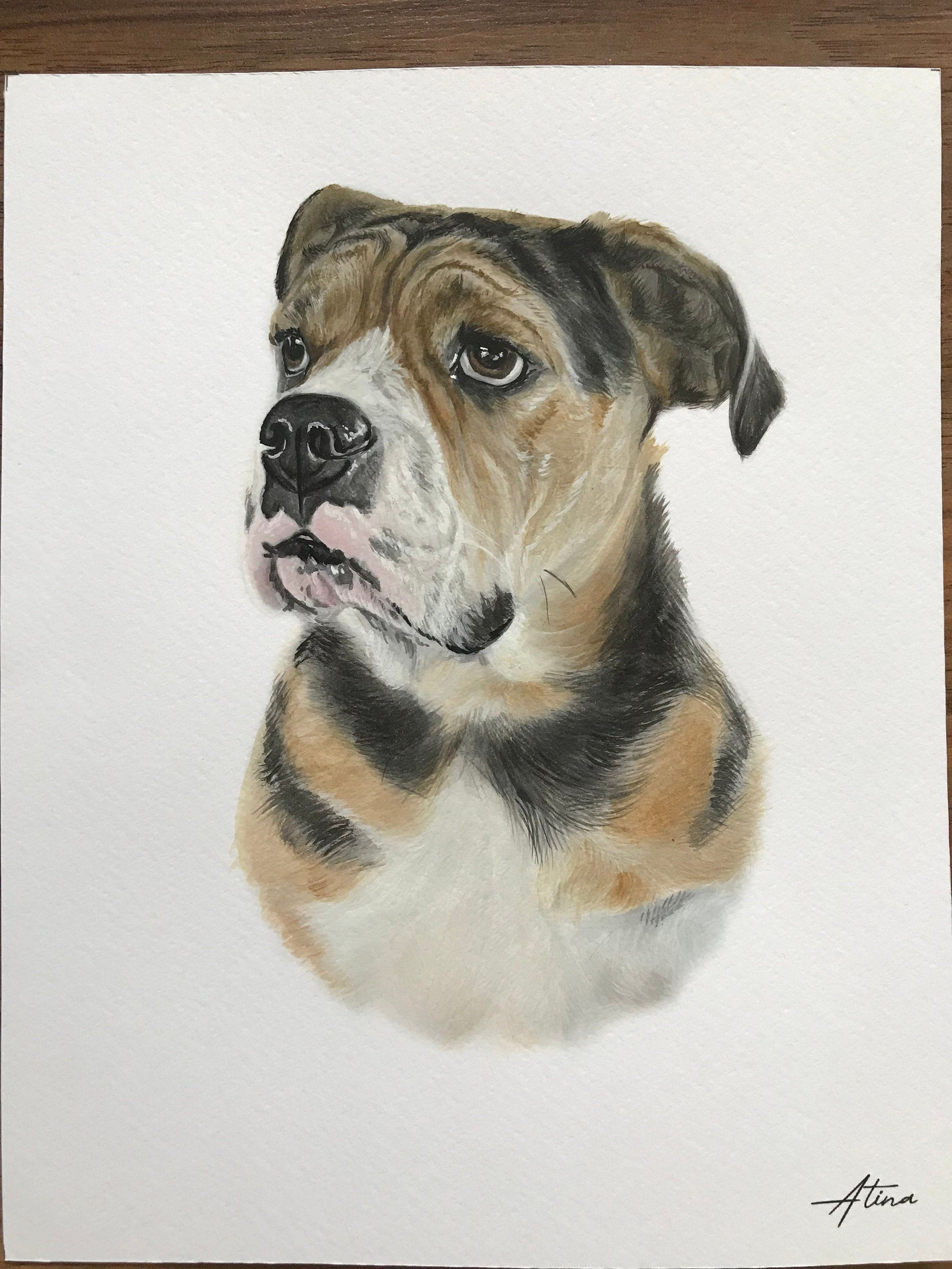Custom-made Painting From Dog Photo, Unique Hand Drawn Water Color ...