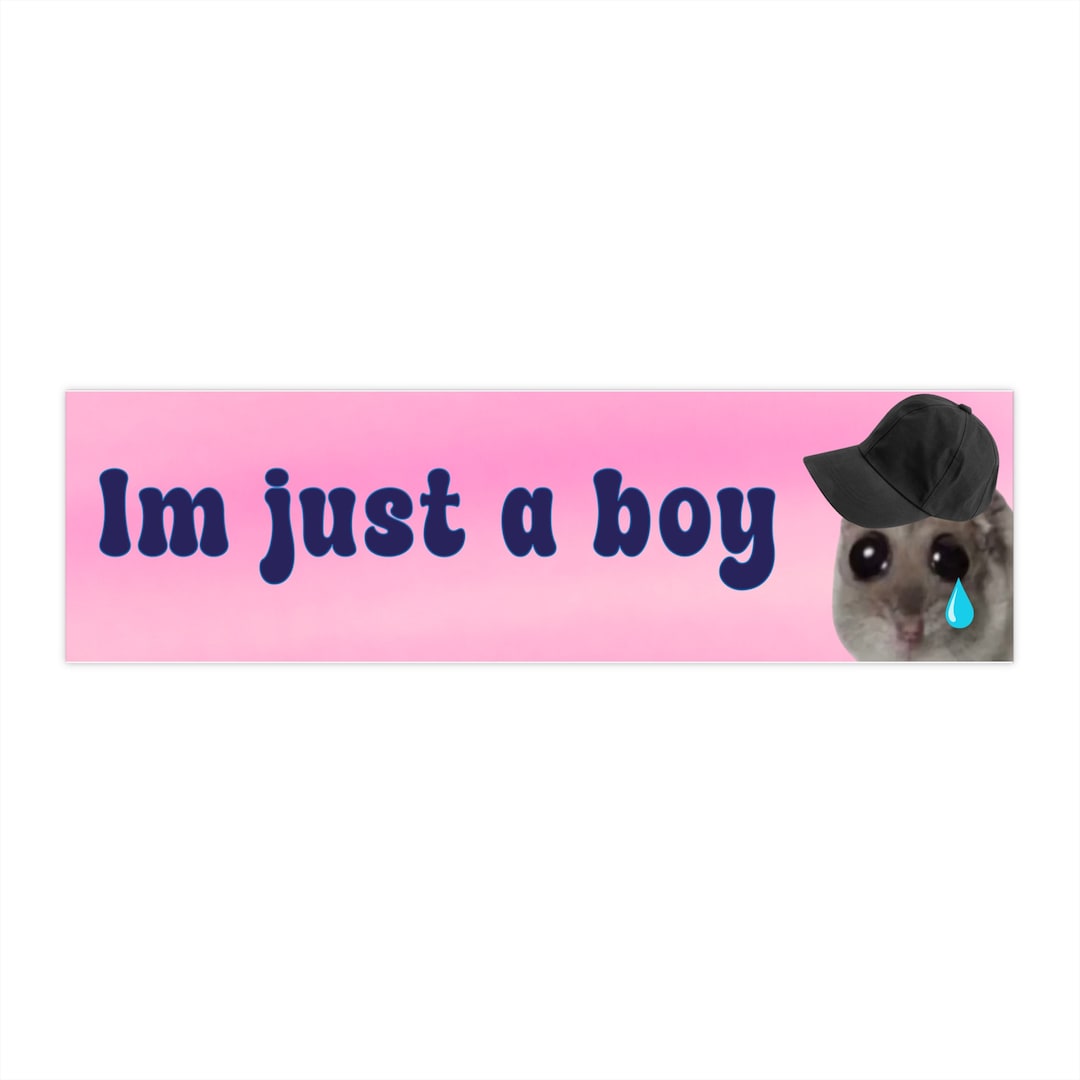 I'm Just A Boy Bumper Sticker, Sad Hamster Bumper Sticker, Funny Hamster Meme Car Sticker, Gen Z ...