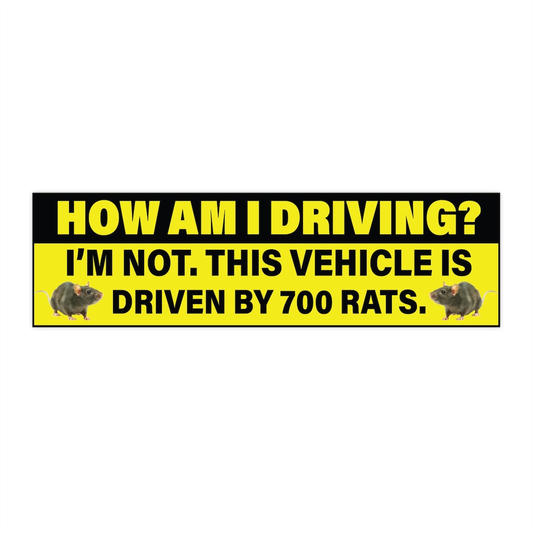 How Am I Driving? I'm Not. This Vehicle is Driven by 700 Rats, Funny ...