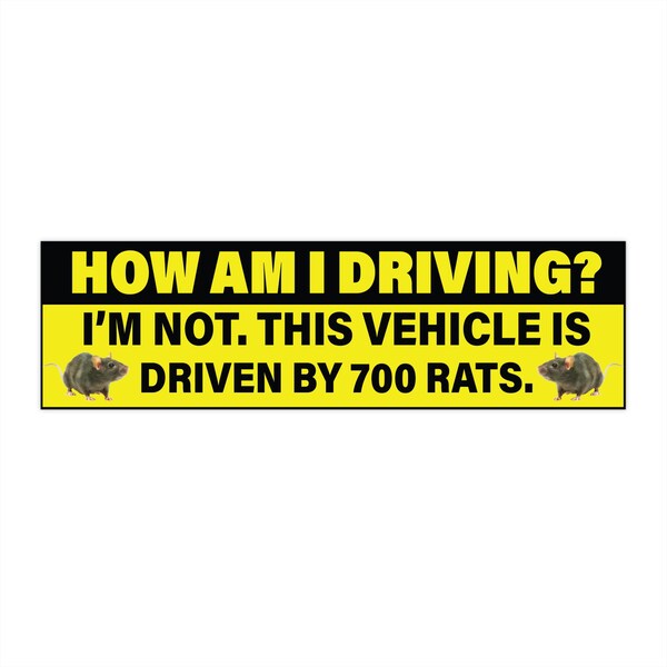Bumper Sticker Funny Memes - Etsy