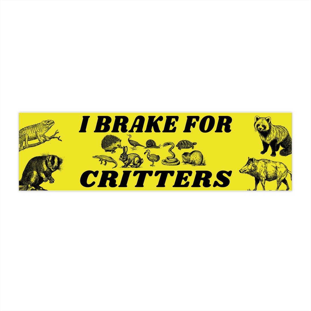 I Brake for Critters - Funny Meme Bumper Sticker, Animal Lover Sticker ...