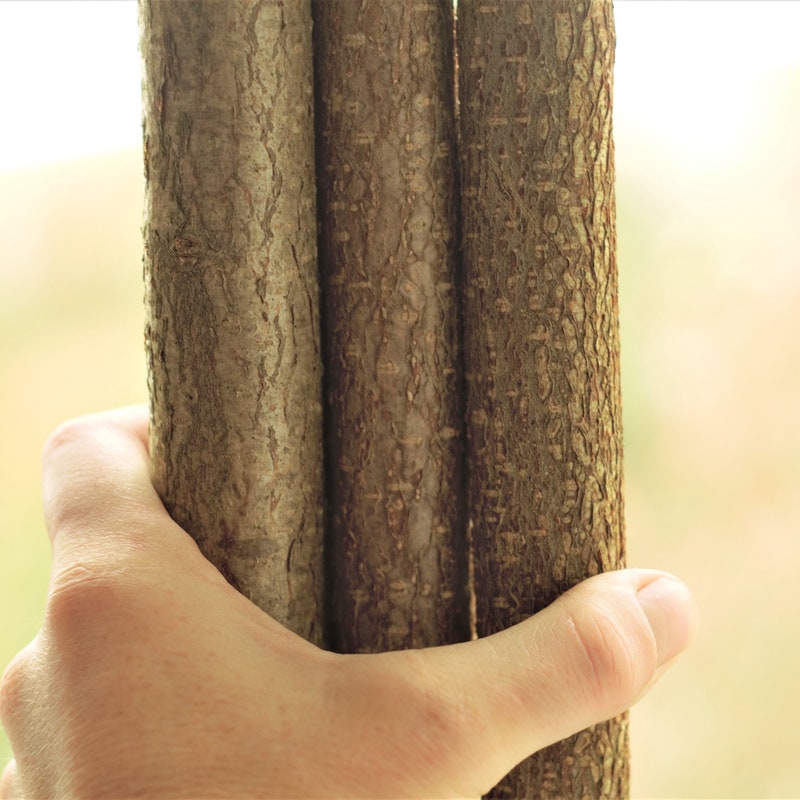 Thick Tree Branch - Etsy
