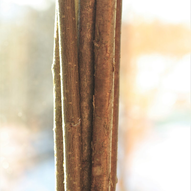 Buy Natural Wood Sticks Online In India - Etsy India