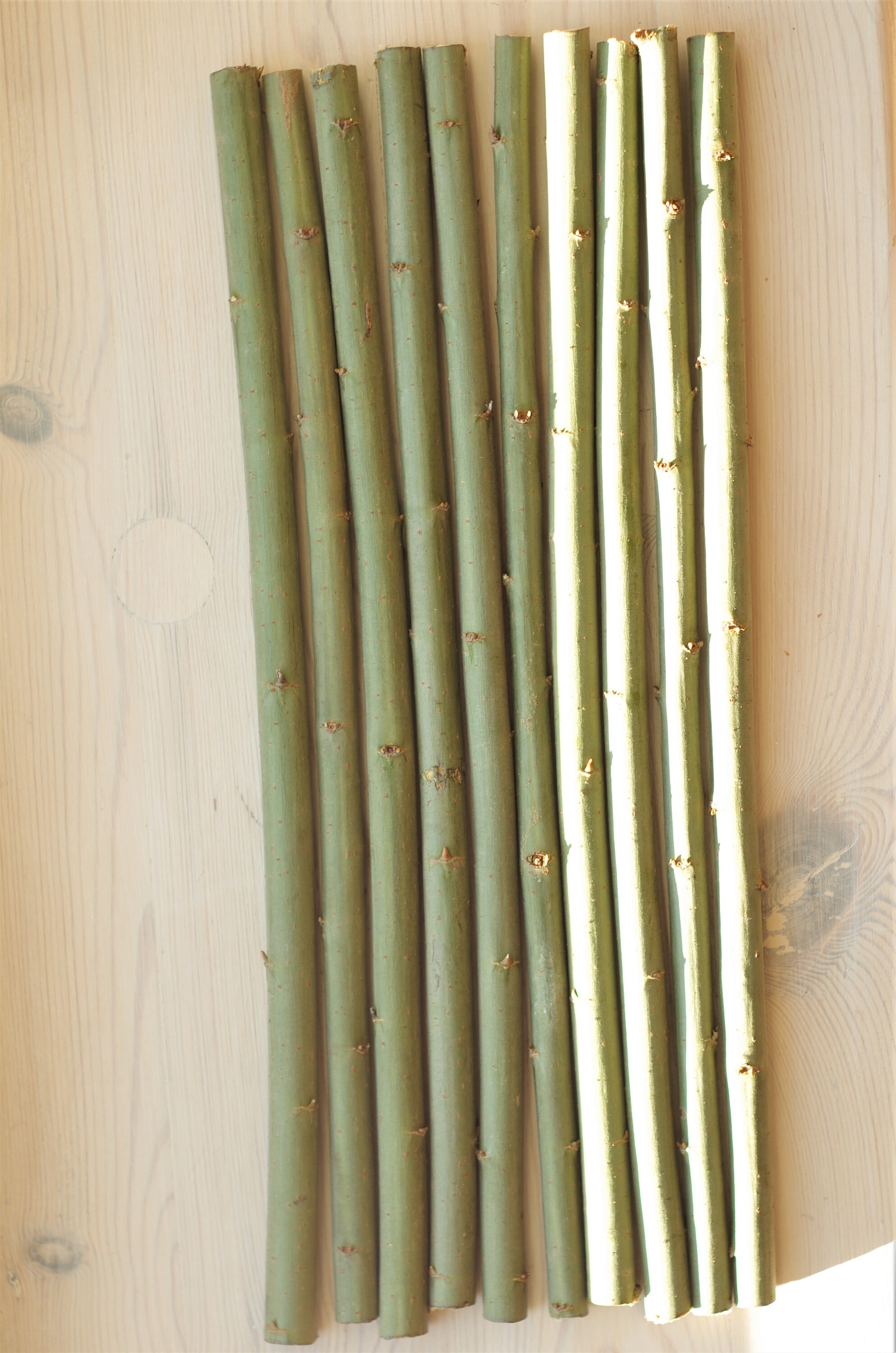 10 Pcs Willow Tree Sticks Willow Sticks Branches for Home Decoration ...