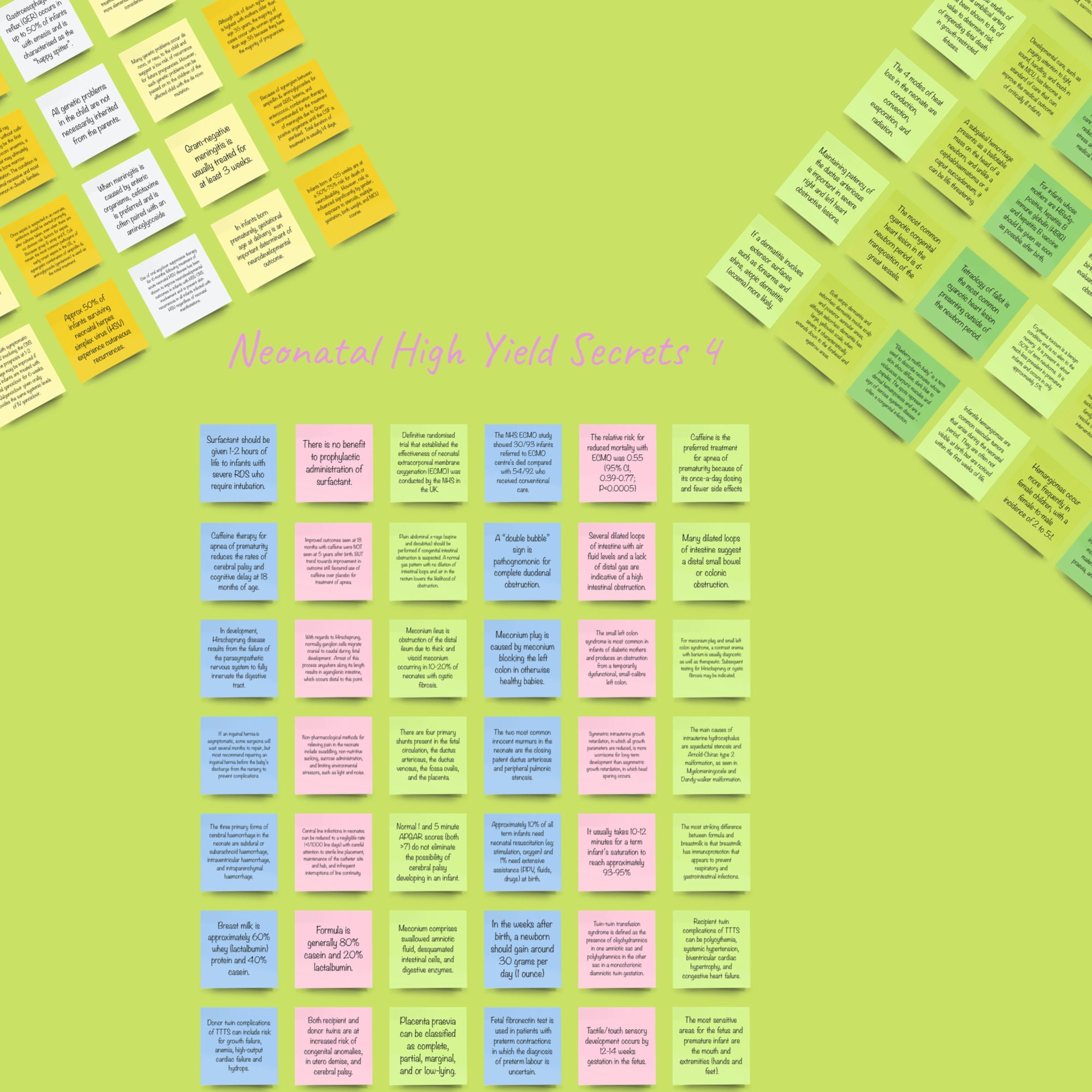 Neonatal Exam High Yield Facts BUNDLE - NICU Notes, Nursing, Medical ...