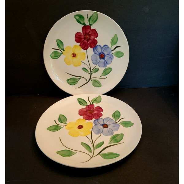 Blue Ridge Plates - Etsy