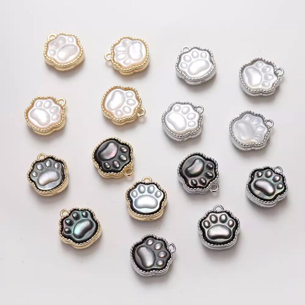 Cats Paw Shell - Etsy