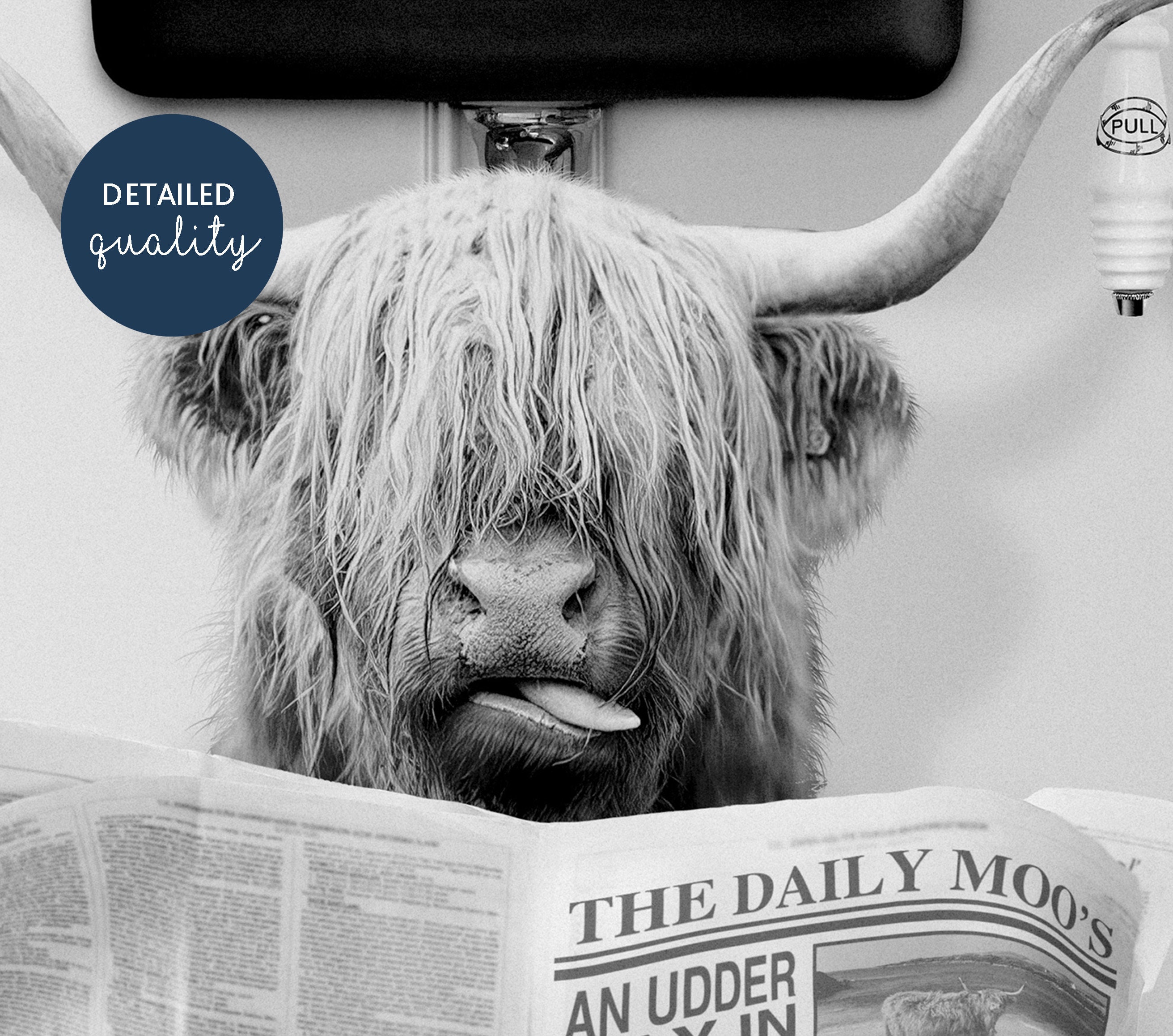 Black and White Highland Cow on Toilet With Newspaper Cow - Etsy UK