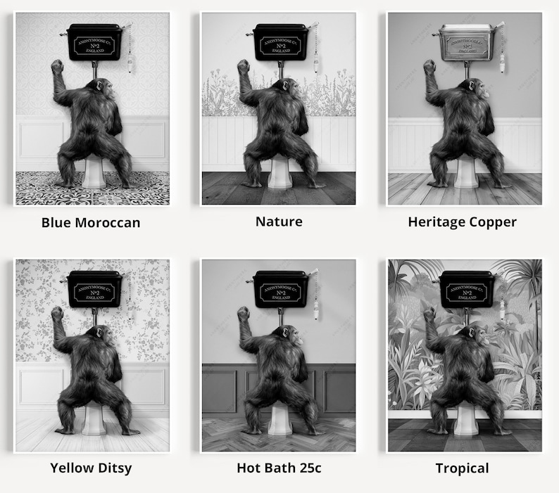 Black & White Chimpanzee Using the Toilet, Chimp on Victorian Toilet ...