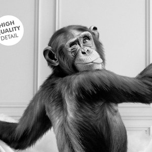 Black and White Chimpanzee Drying With a Towel in Bathroom Print, Monkey Bathing, Funny Bath ...
