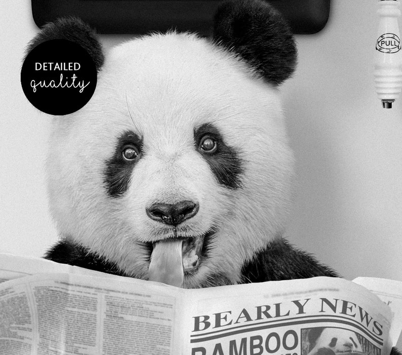 Black and White Panda on Toilet With Newspaper Panda - Etsy UK
