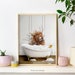 Highland Cow Shaking Head in a Bath Print Cow Bathing Funny - Etsy
