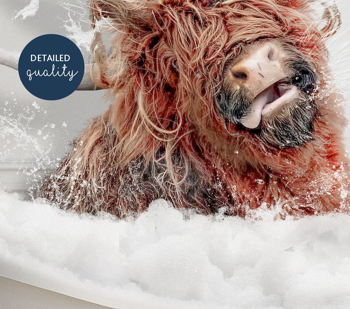 Highland Cow Shaking Head in a Bath Print Cow Bathing Funny - Etsy UK