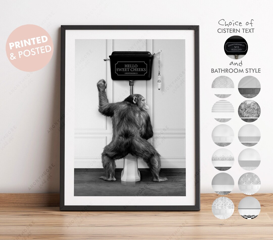 Black & White Chimpanzee Using the Toilet, Chimp on Victorian Toilet ...