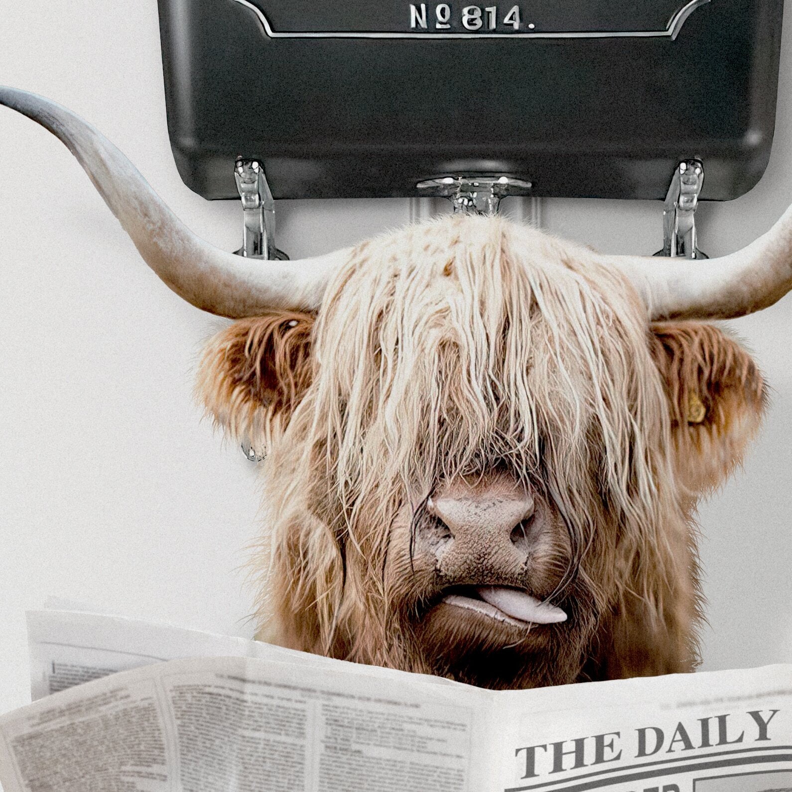 Highland Cow on Toilet With Newspaper Cow Victorian Toilet - Etsy UK
