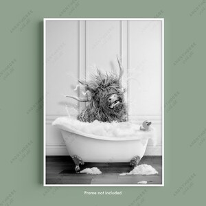 Black and White Highland Cow Shaking Head in a Bath Print, Cow Bathing ...