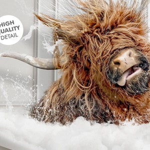 Highland Cow Shaking Head in a Bath Print, Cow Bathing, Funny Bathroom ...