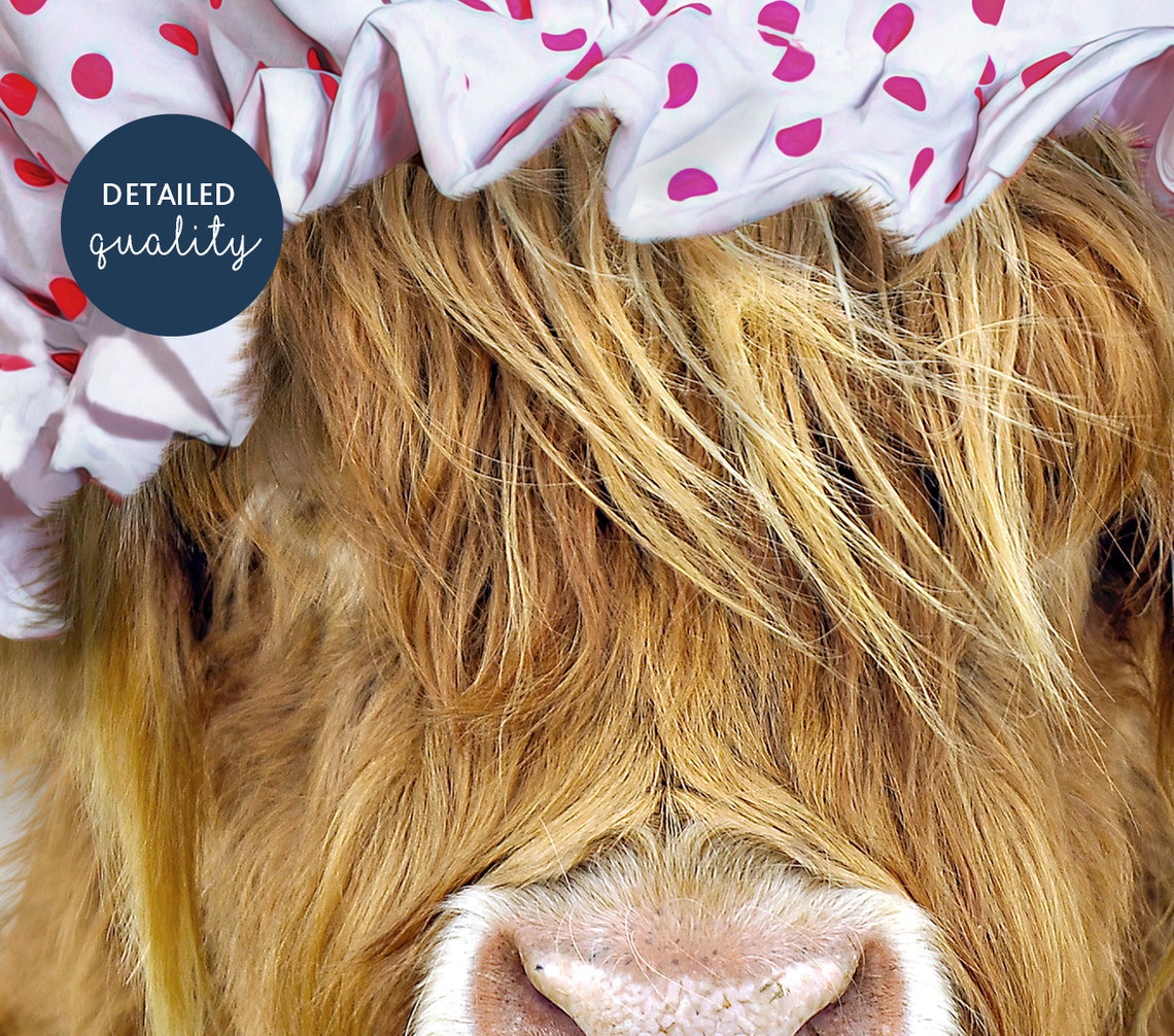 Highland Cow in a Shower Cap Print Cow Bathing Funny - Etsy UK