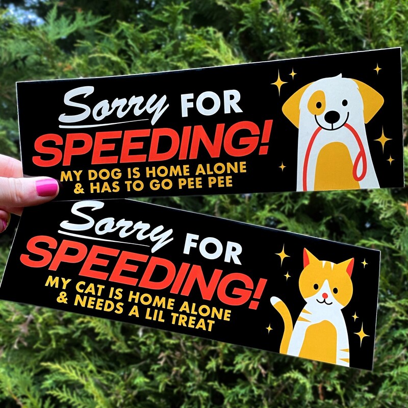 Cat Bumper Sticker - Etsy