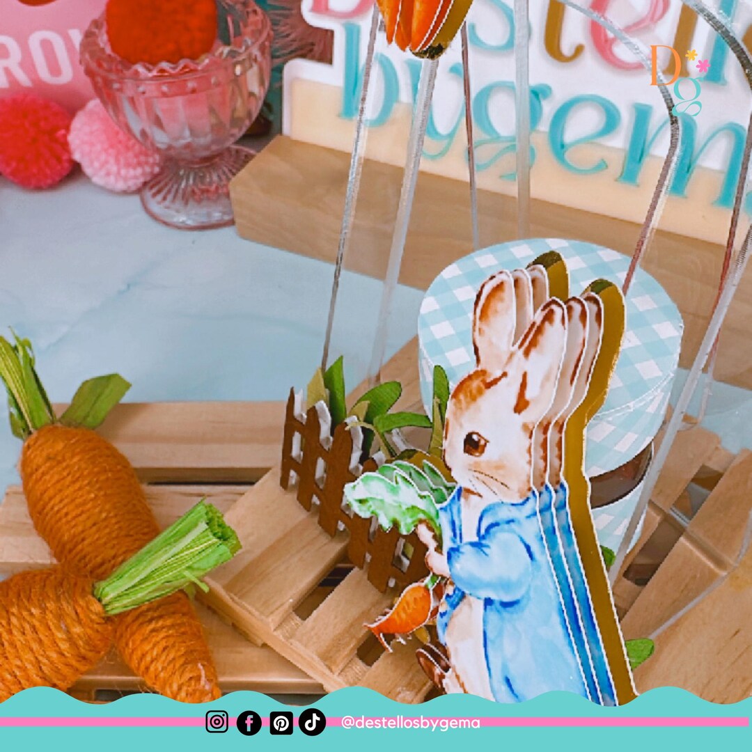Peter Rabbit Acrylic Display Box – Personalized Candy Box for Baby ...
