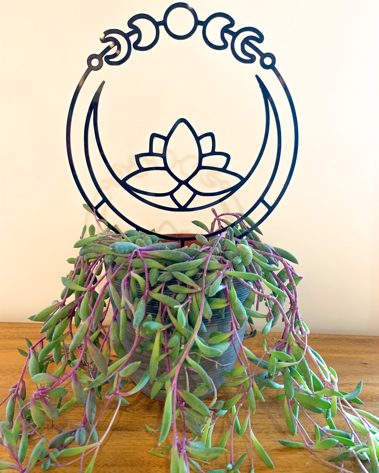 Moon Phases Plant Trellis - Etsy