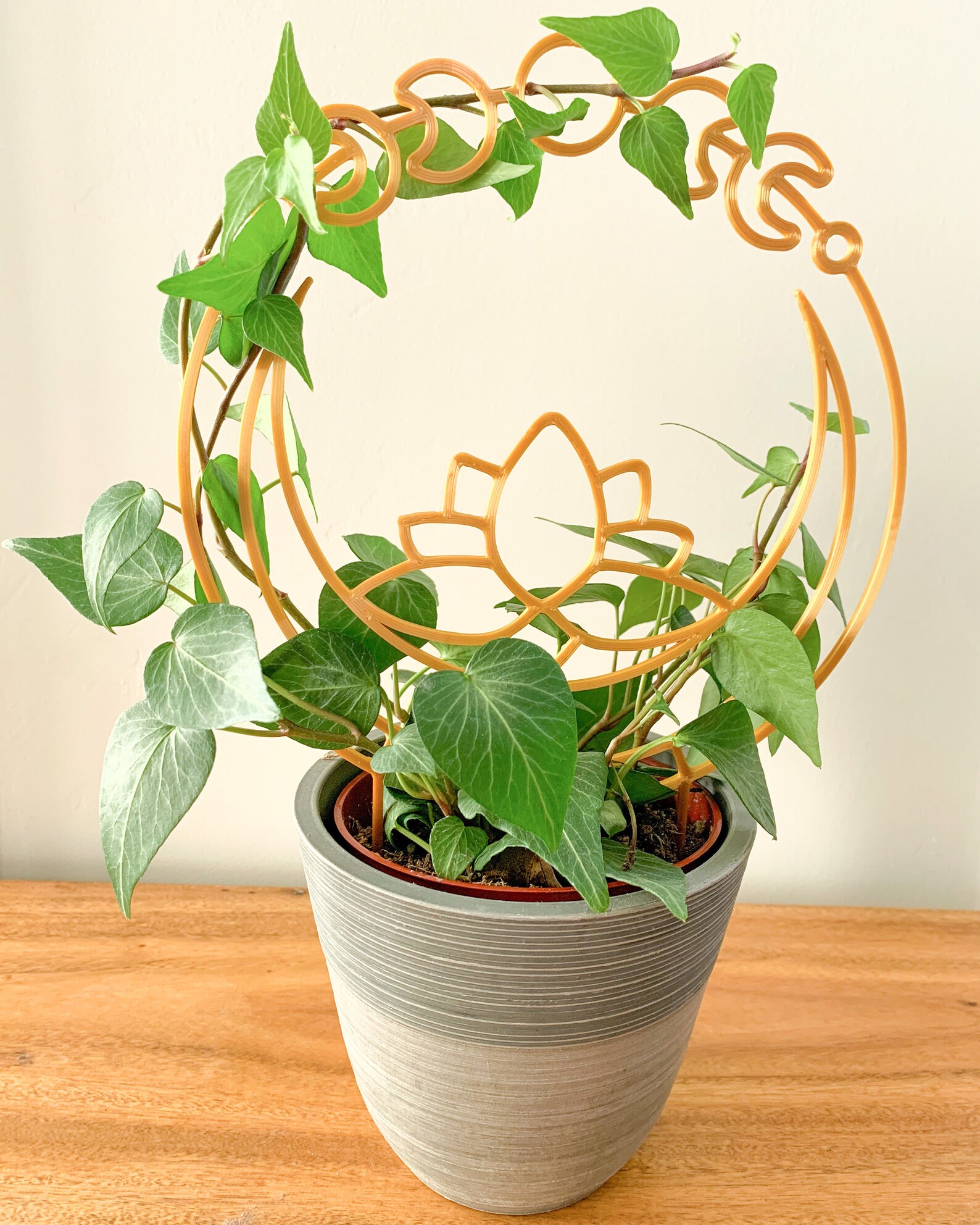 Moon Phases Plant Trellis - Etsy