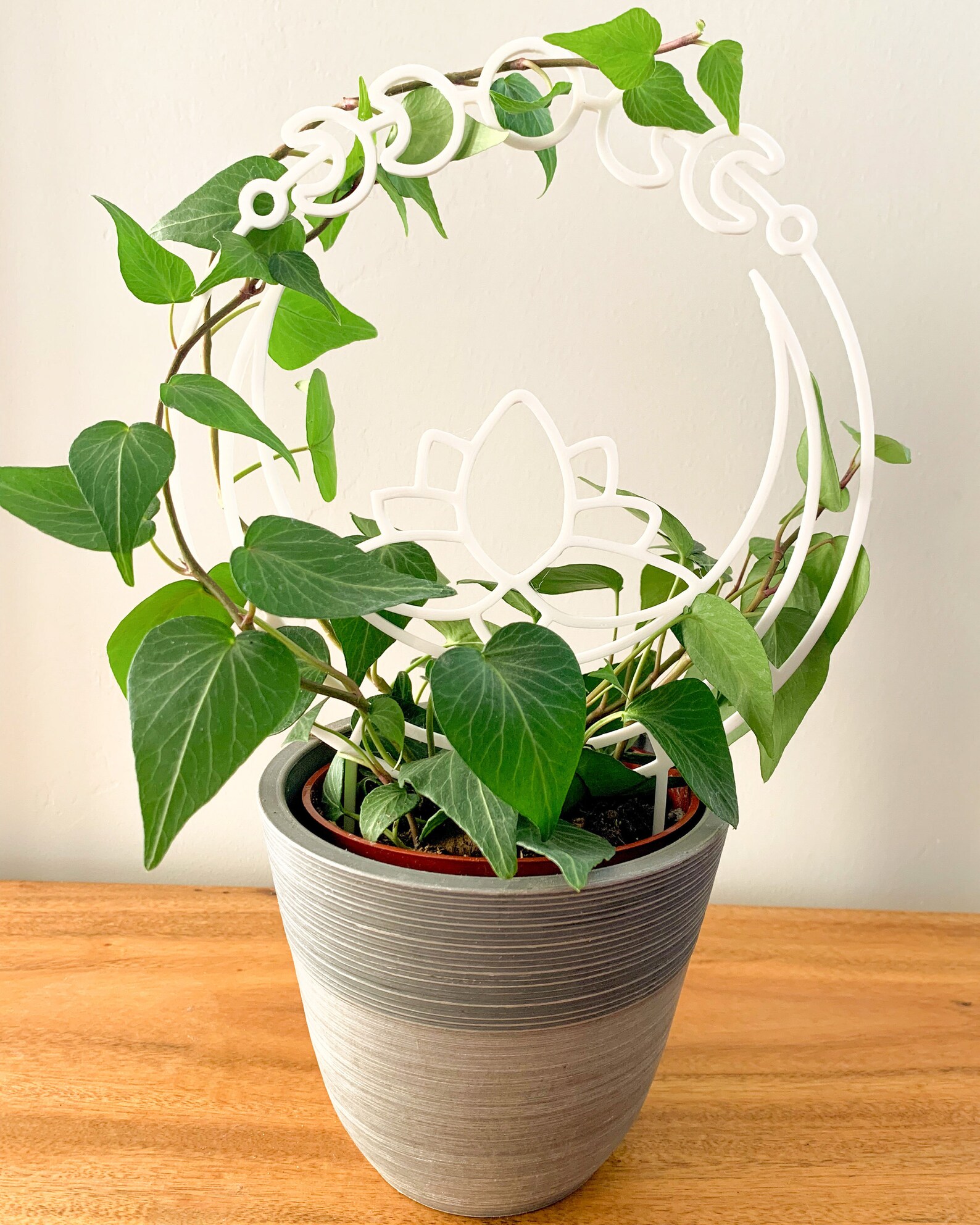 Moon Phases Plant Trellis - Etsy