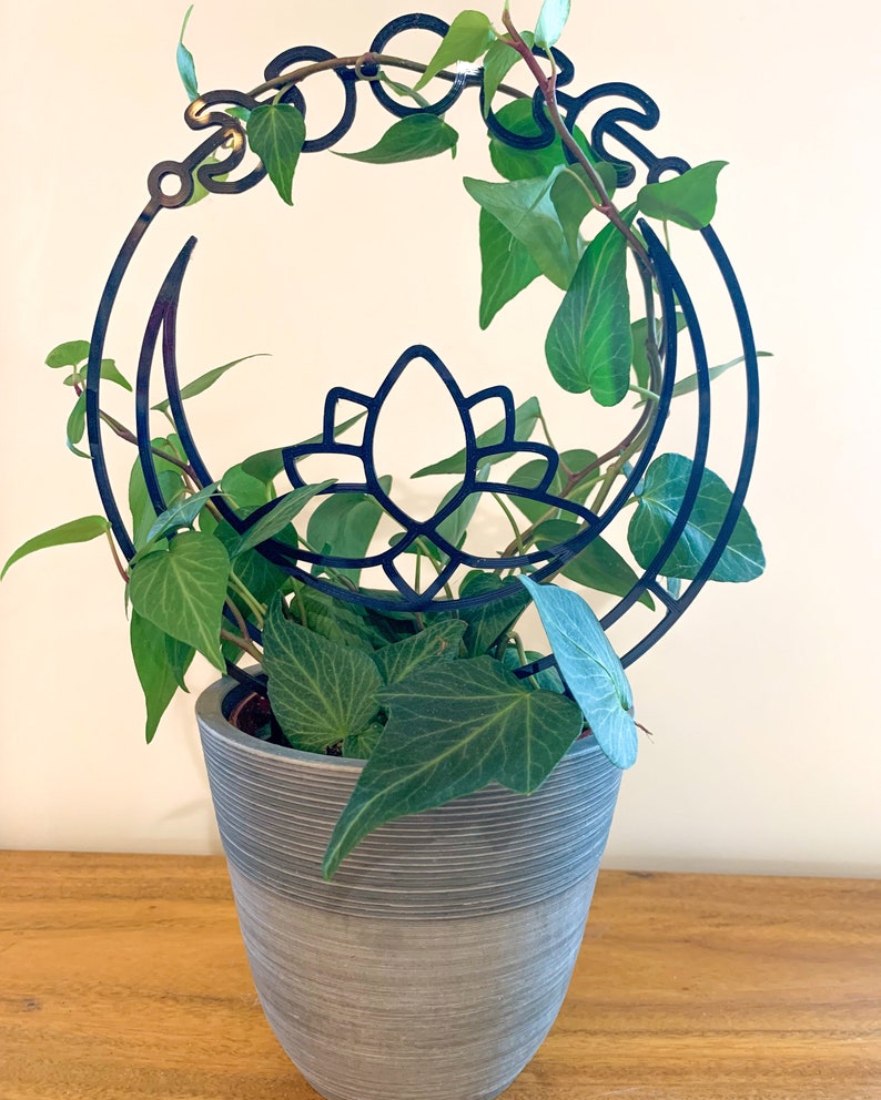 Moon Phases Plant Trellis - Etsy