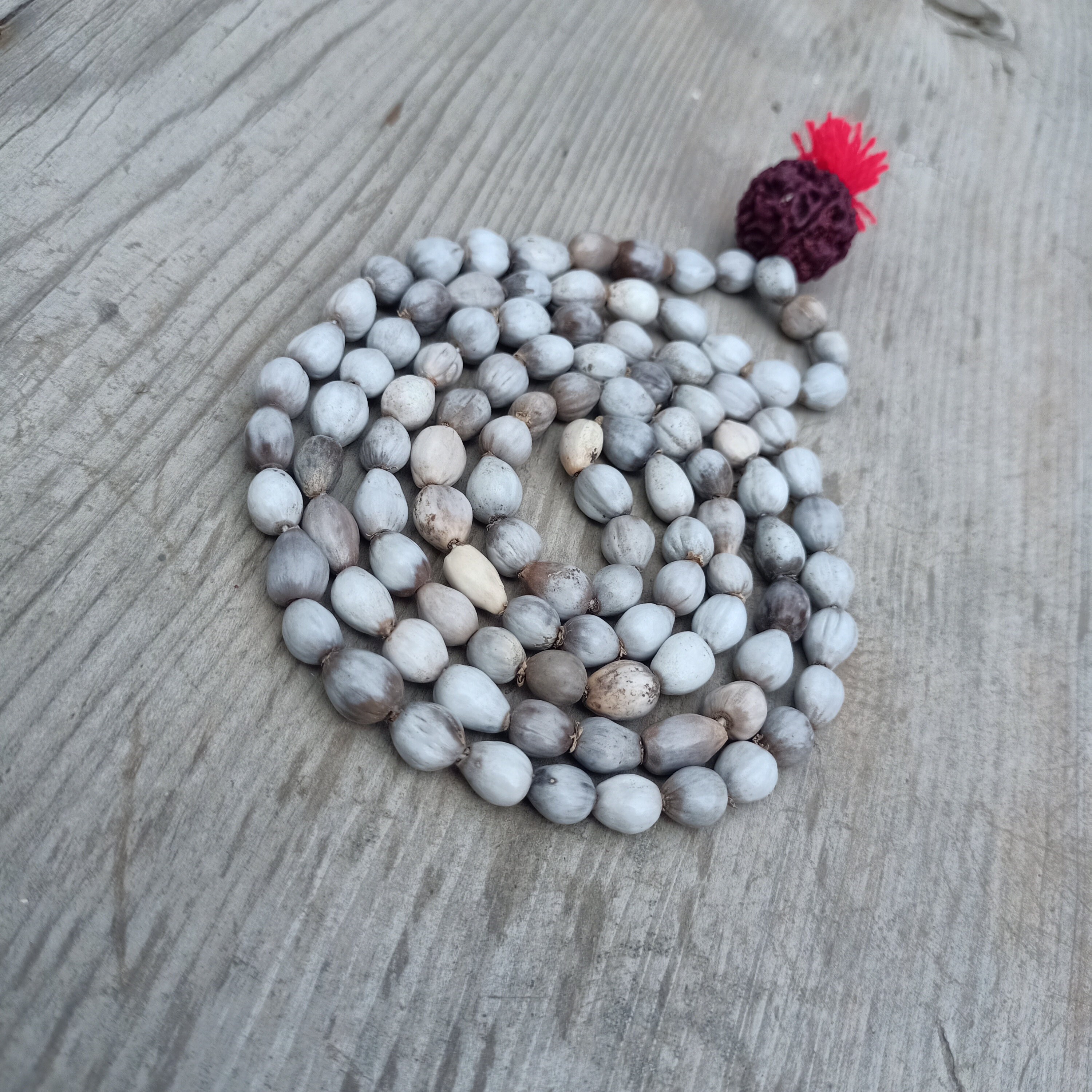 Vaijayanti Mala Beads Necklace, Vaijanti Seeds Beads 108 India Prayer ...