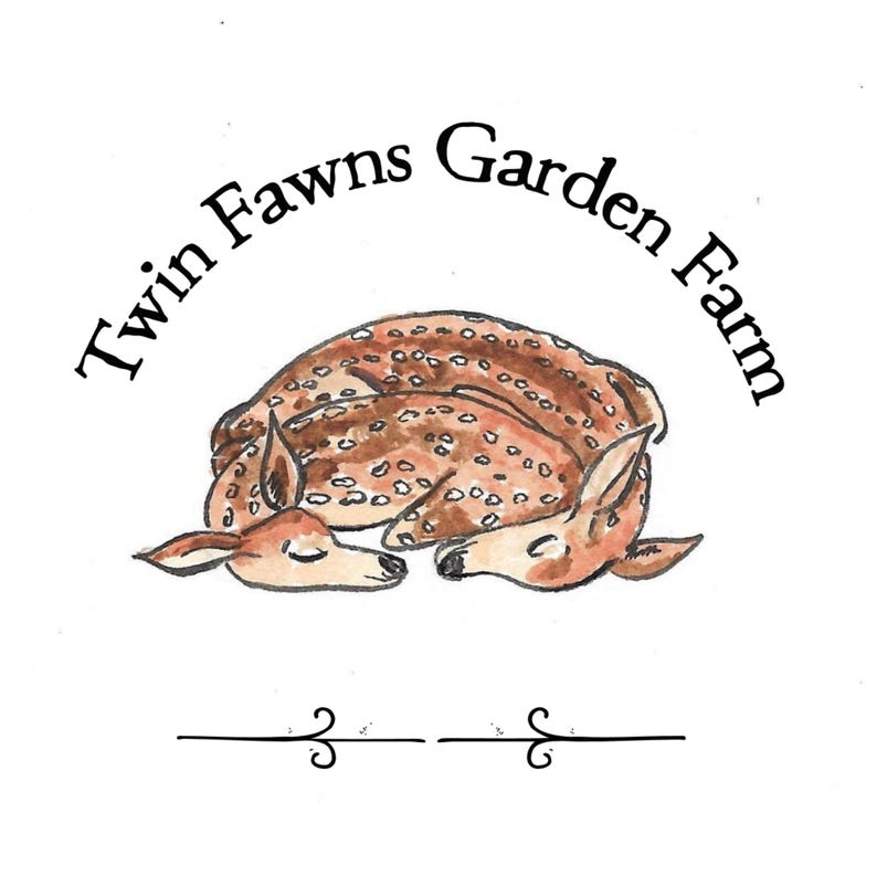 Custom Labels for Honey Jars – Made to Order Printable Labels | Digital ...