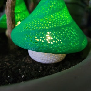Mushroom Lamp decorative 3D Printed Mushrooms With LED Lights - Etsy