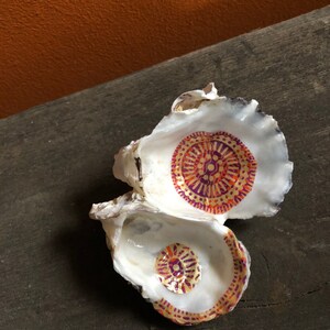 Schoongemaakte Oesters / Oesterschelpen Direct Klaar Voor Hobby ...