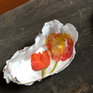 Schoongemaakte Oesters / Oesterschelpen Direct Klaar Voor Hobby ...