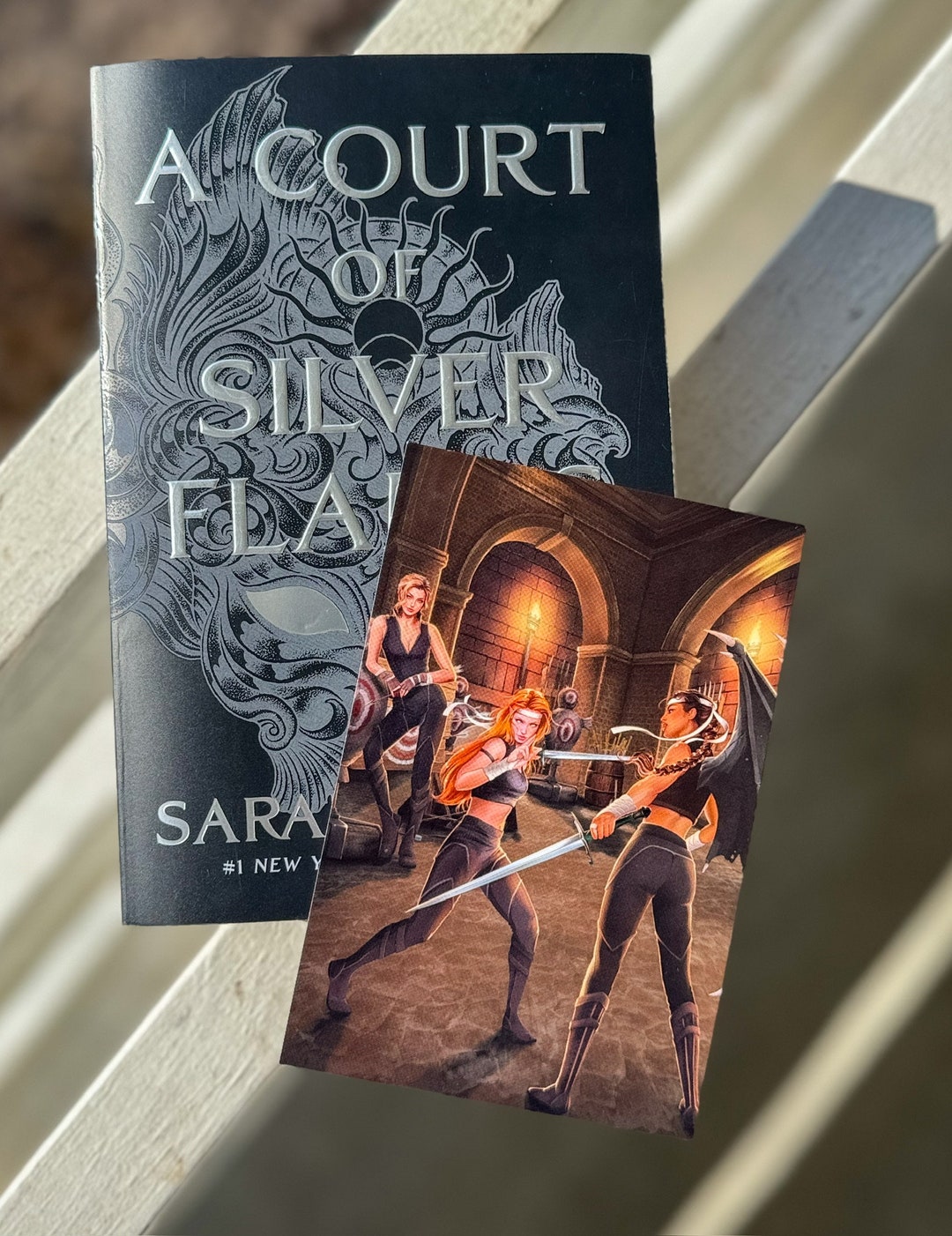 Valkyrie Training Art Print ACOTAR - Etsy