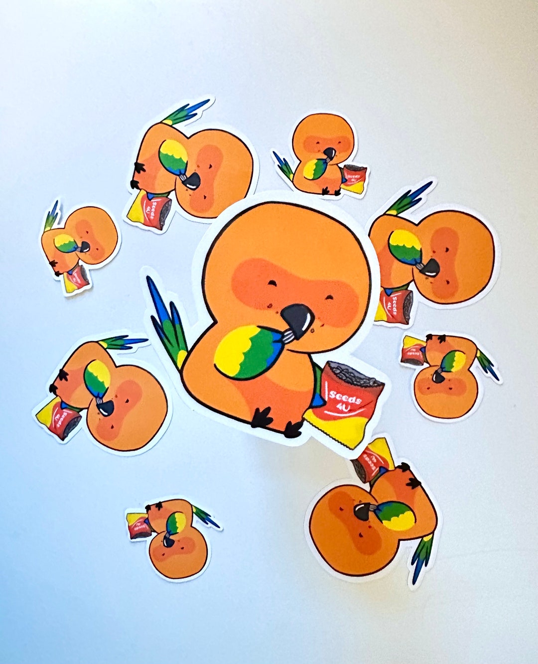 Sun Conure Snacking Sticker - Funny Parrot - Etsy