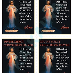 Divine Mercy Prayer Card: Catholic Saint Printable (digital Download ...