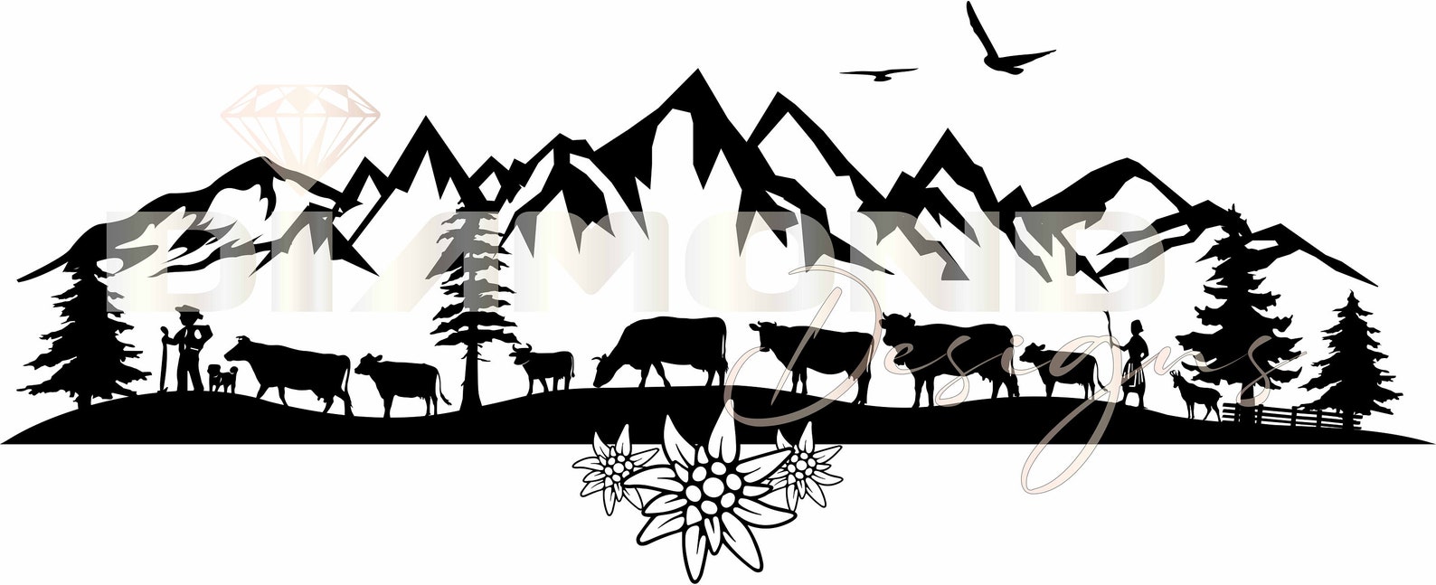 Alpaufzug Swiss Mountain Edleweiss Alpen Kühe Cow Schweizer Tradition ...